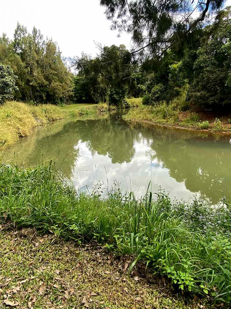 Warm in Walkamin - GoRV