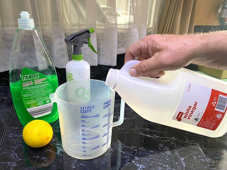 Ten Tips To Clean Your Van - GoRV