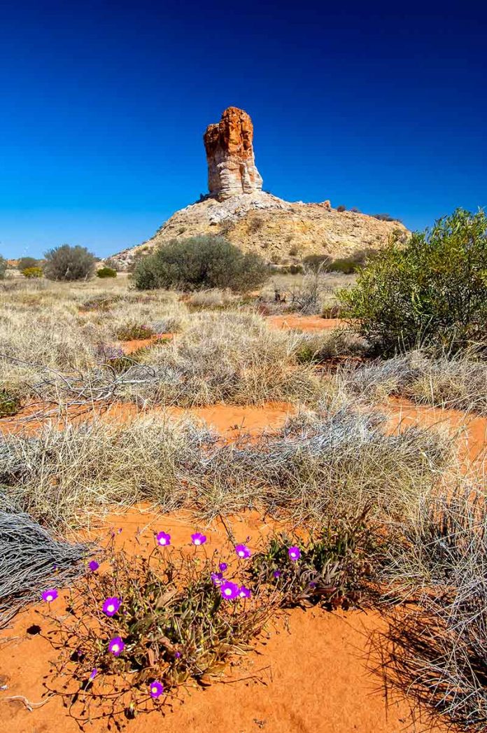 Alice Springs 4WD Adventures - GoRV