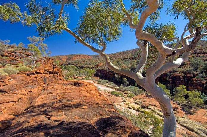 Alice Springs 4WD Adventures - GoRV