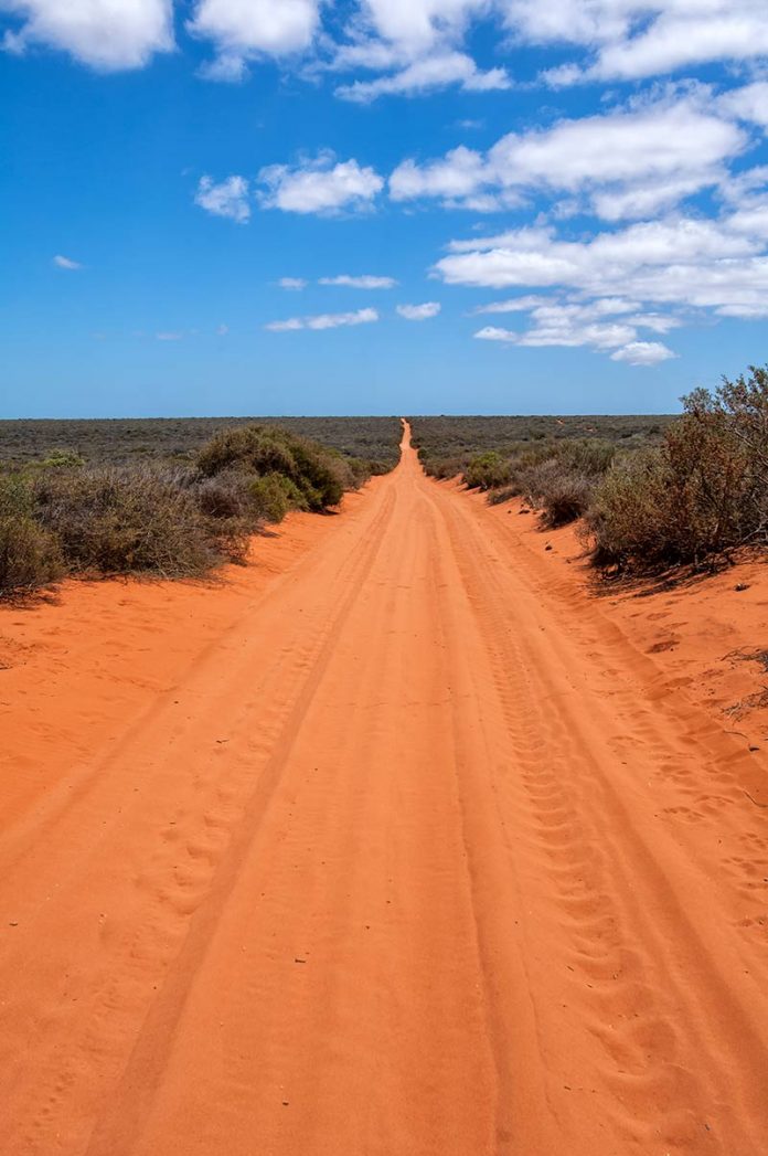 Travel Guide: Shark Bay, WA - GoRV