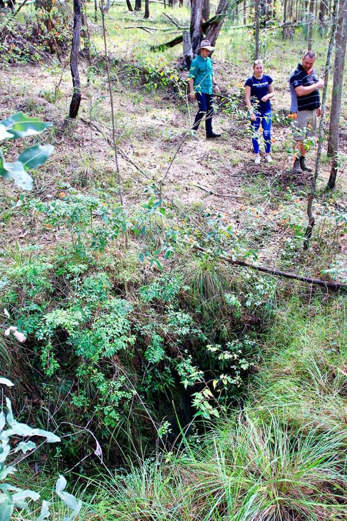 Old Glenn Innes Road: Travel Guide - GoRV