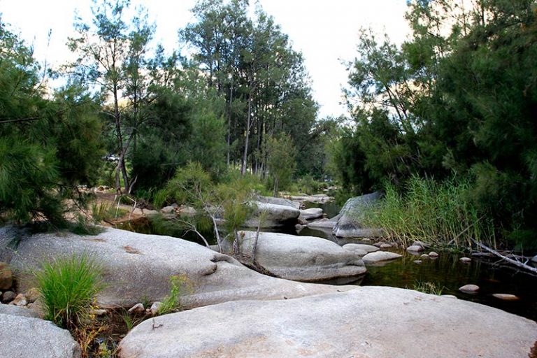 Old Glenn Innes Road: Travel Guide - GoRV