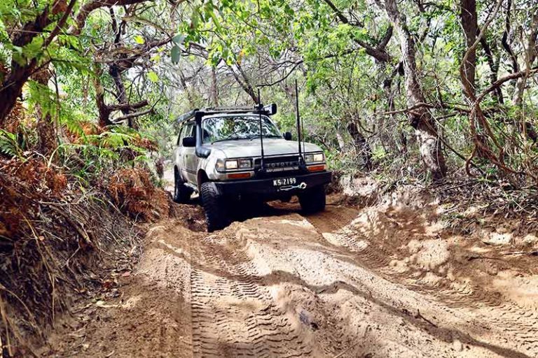 Guide: Byfield State Forest and National Park - GoRV