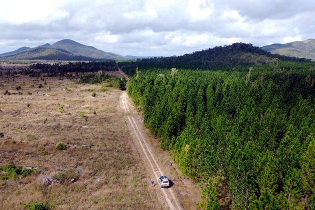 Guide: Byfield State Forest and National Park - GoRV