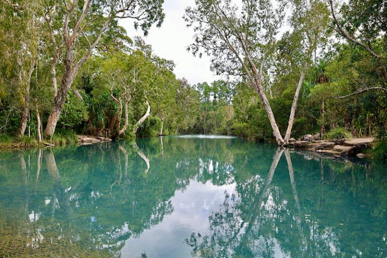 Guide: Byfield State Forest and National Park - GoRV