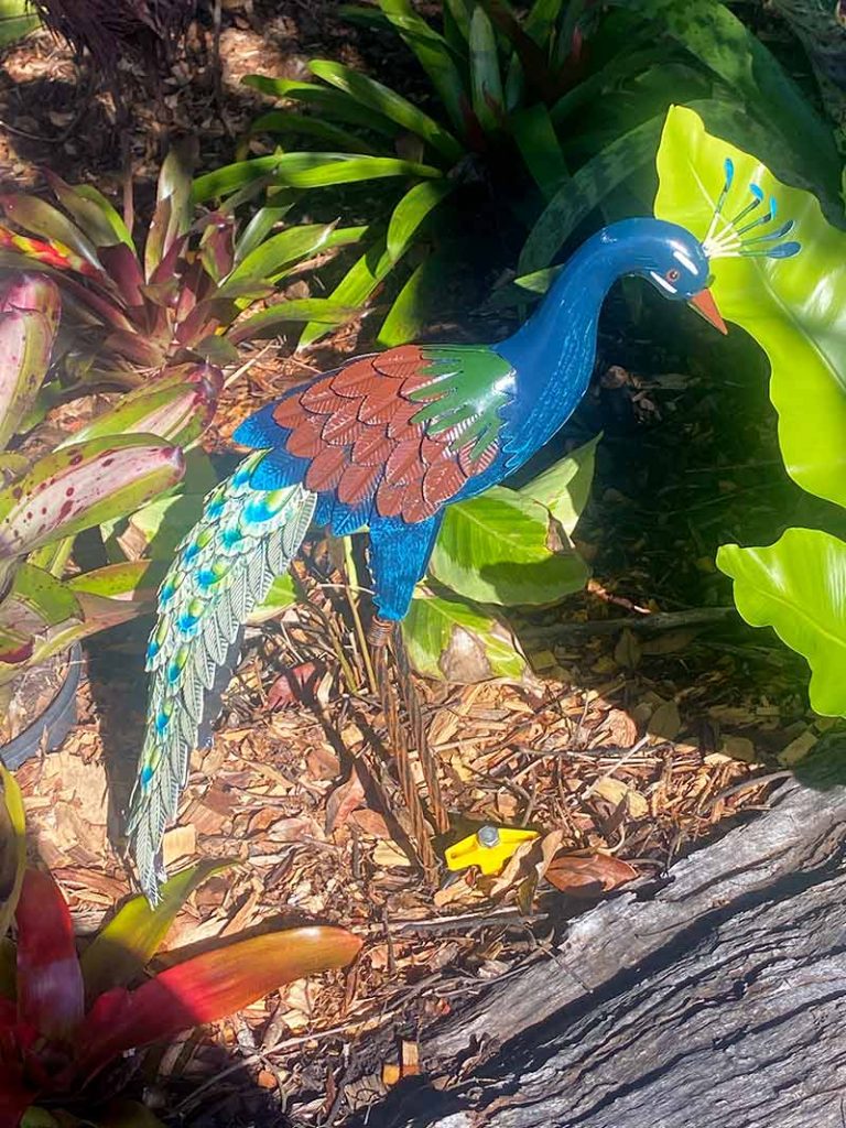 Murphy and the Bionic Ear - GoRV