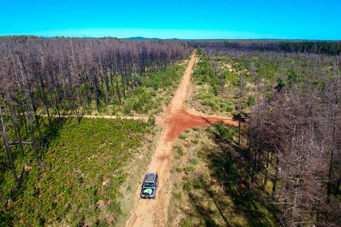 Touring Guide: Tingha, NSW - GoRV