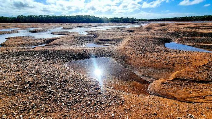 Midges and How to Avoid Them - GoRV